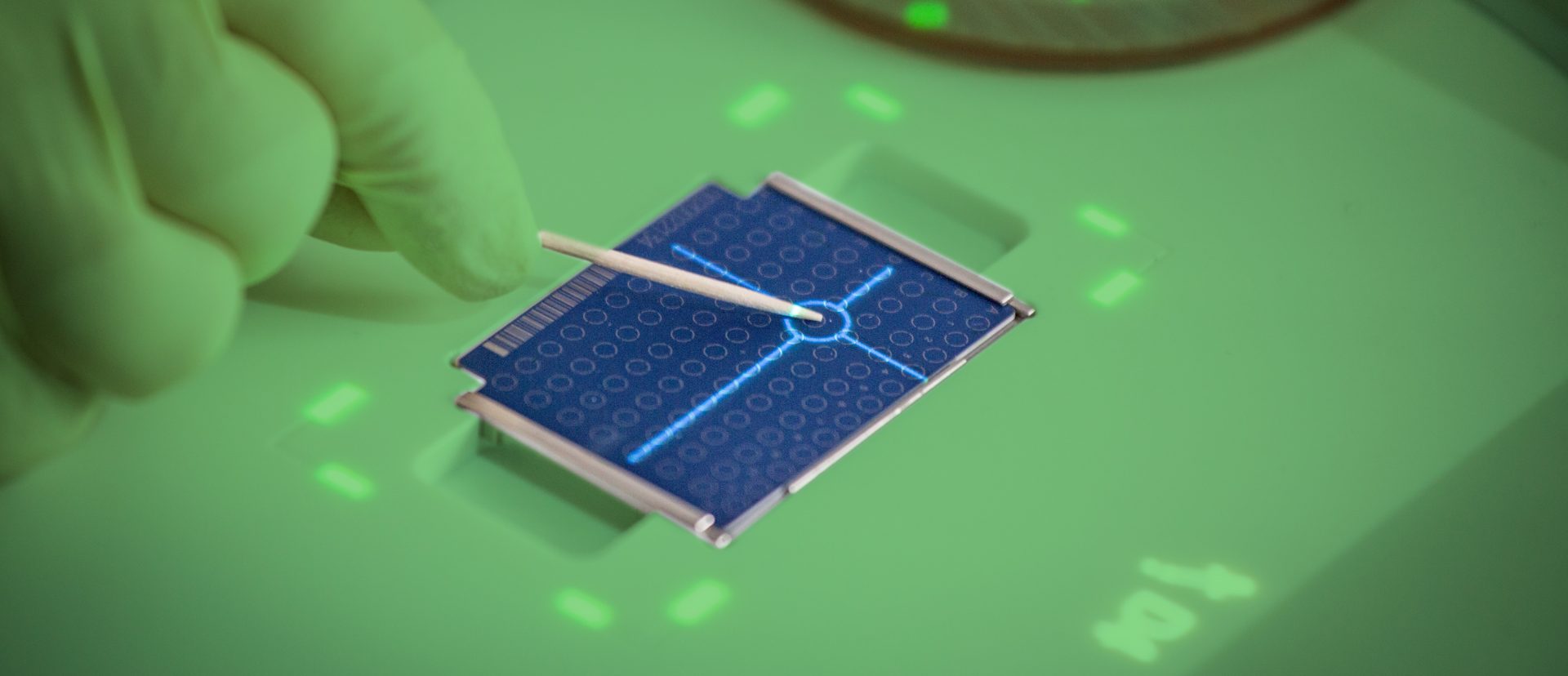 Optimizing Microbial Identification Workflows | Bruker