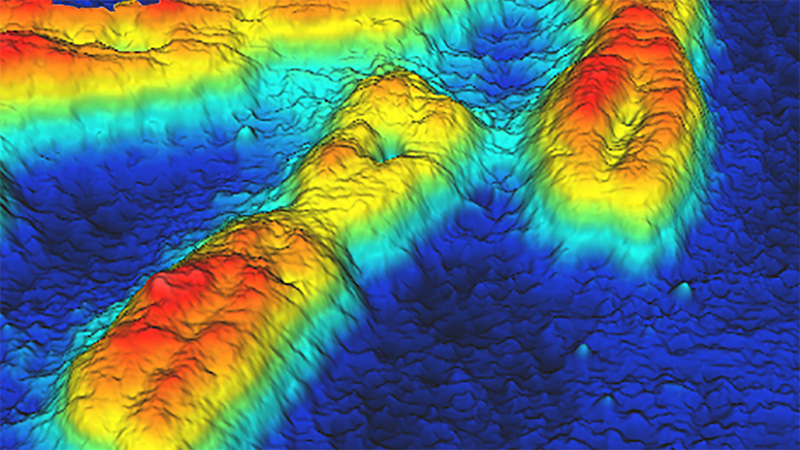 BioAFM Applications Gallery: Life Science Research | Bruker