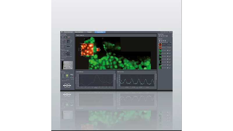 DirectOverlay 2 Software Module | Bruker
