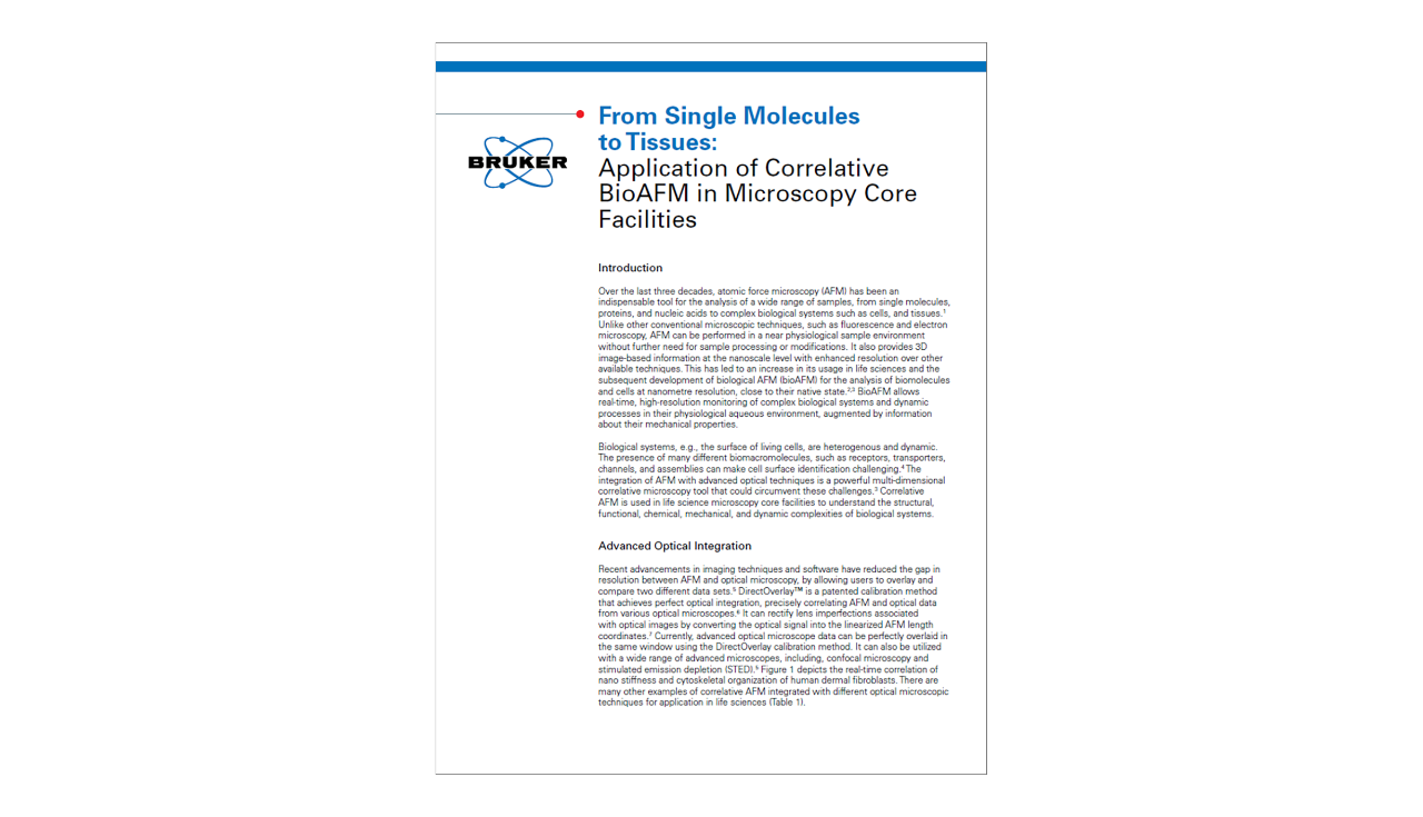 From Single Molecules to Tissues: Application of Correlative BioAFM in ...