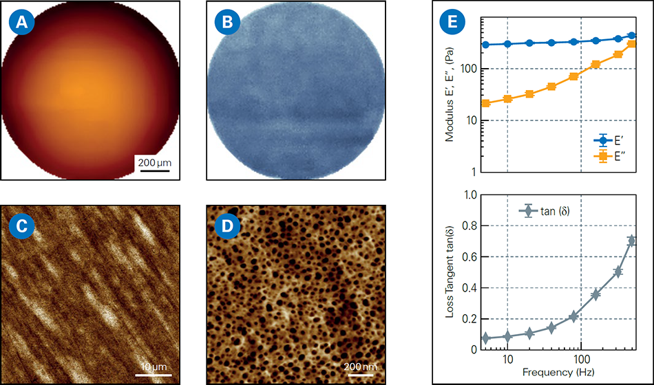 Application Note: BioAFM in the Cosmetic and Healthcare Industries | Bruker