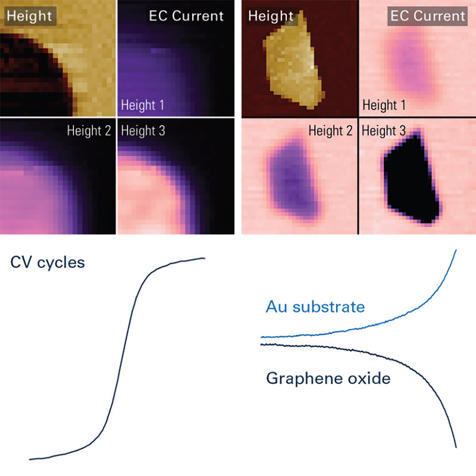 Scanning Electrochemical Microscopy (SECM) | Bruker