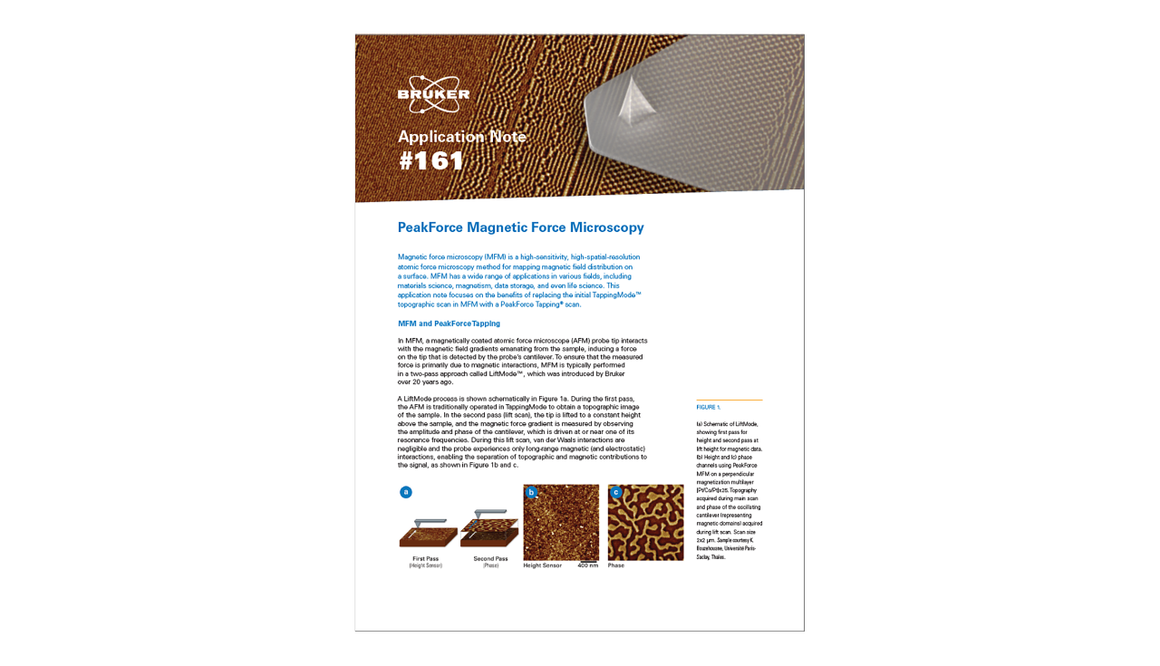 Application Note: PeakForce Magnetic Force Microscopy | Bruker