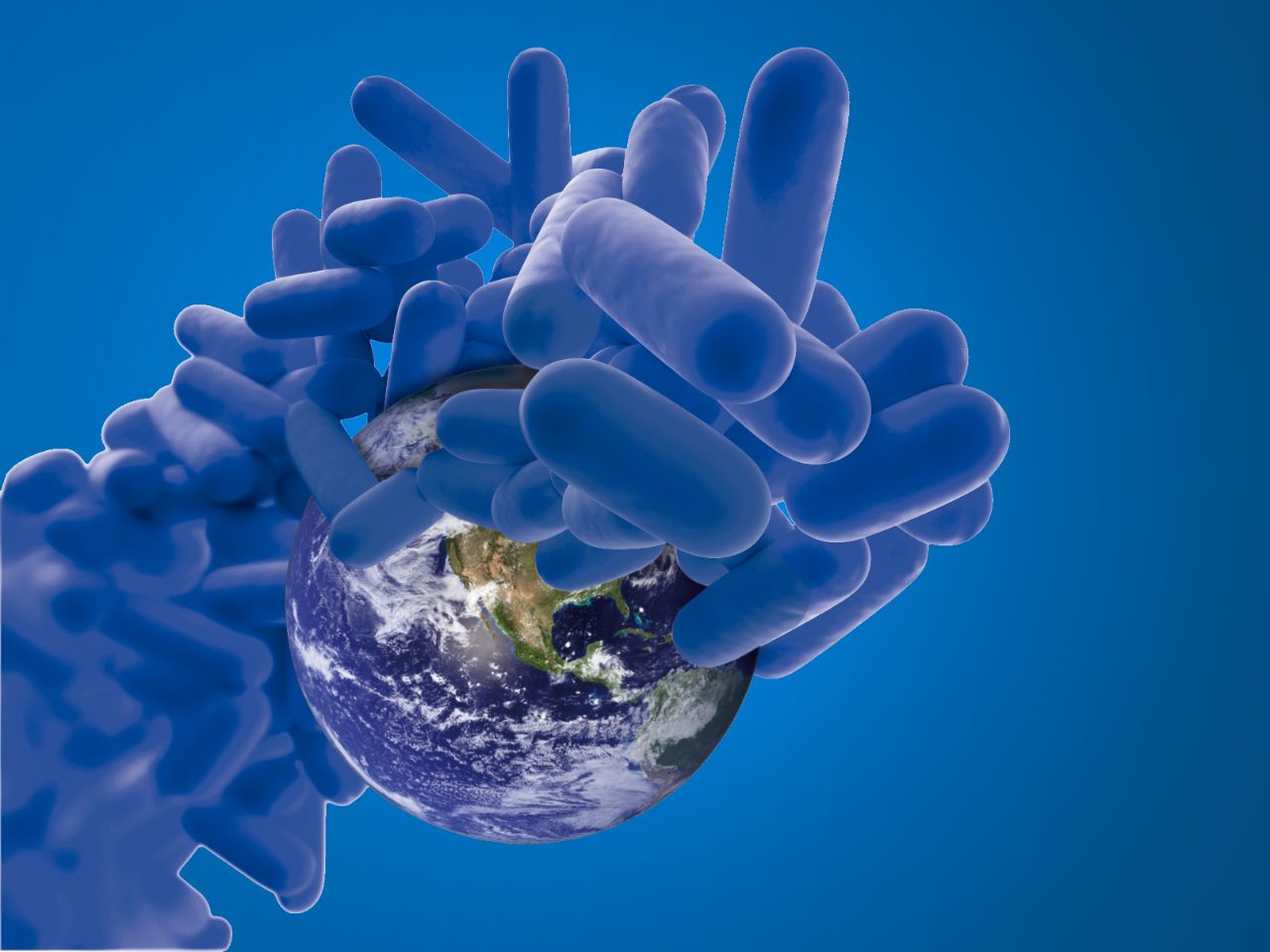 Genotype Mtbdrplus Ver 20 Bruker