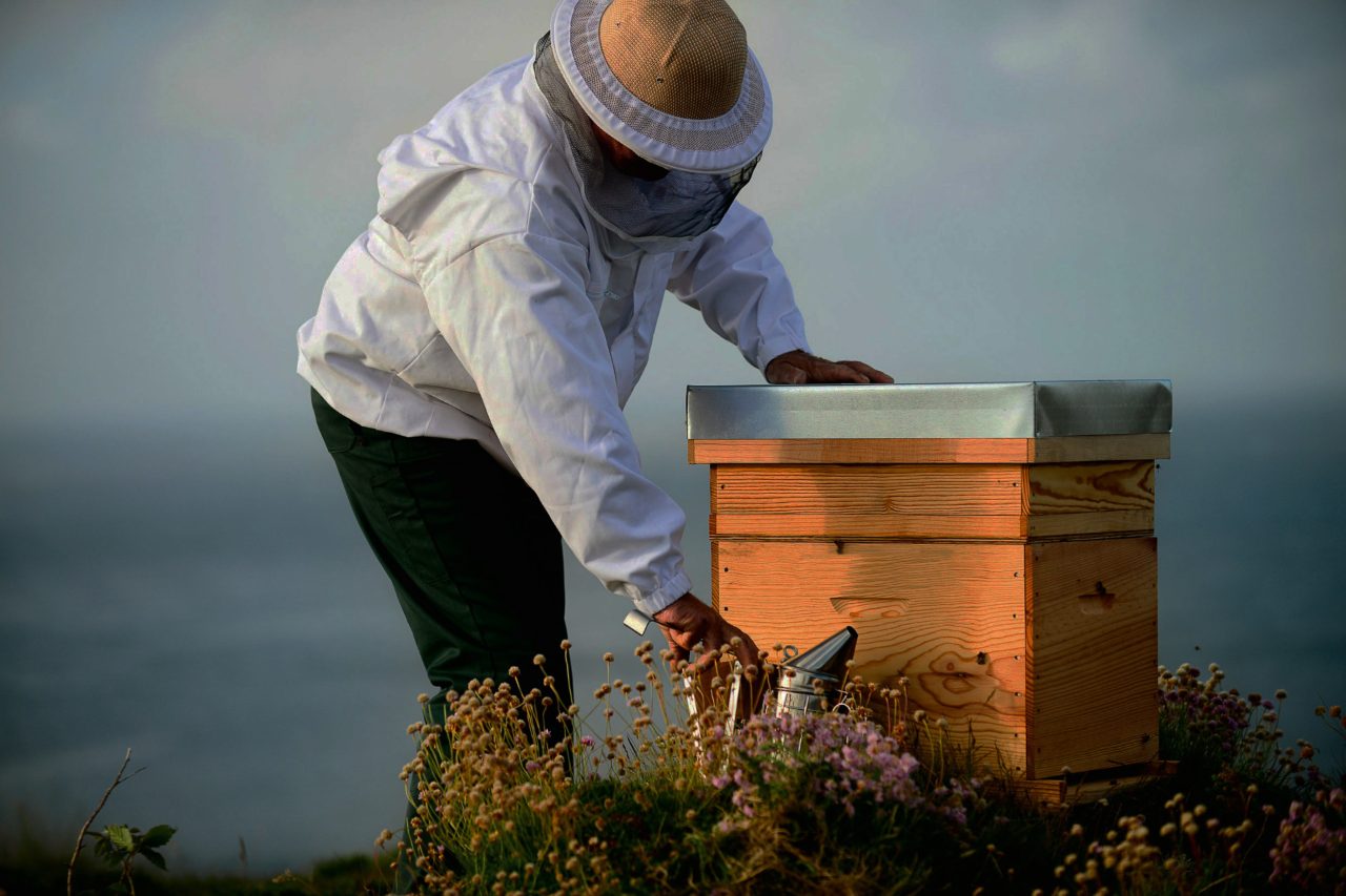 How Podolski Honey Farms make sure their honey is as pure as it comes ...