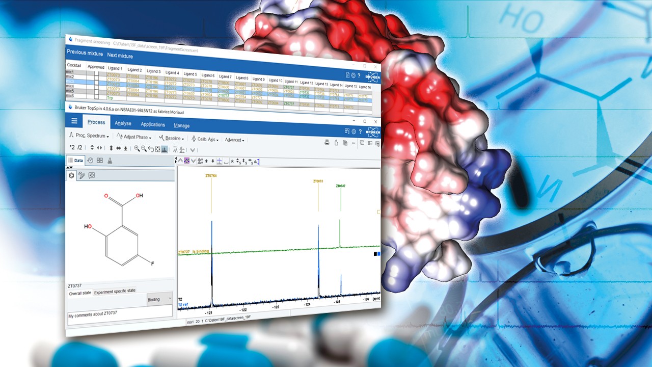 Fragment Based Screening Bruker