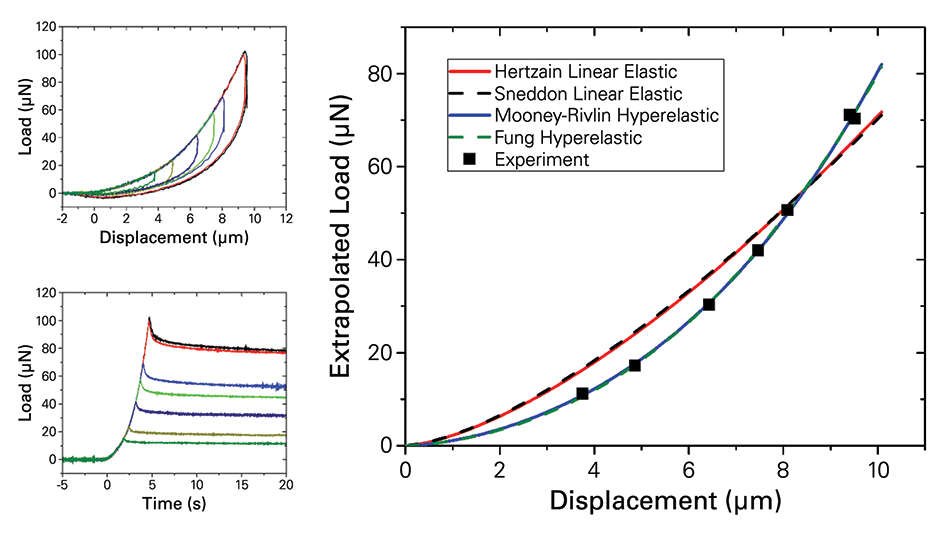 Application Note: Characterization of the Elastic Properties of ...