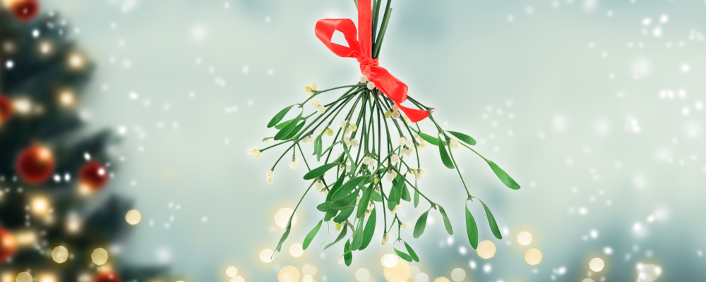 Alternative Mistletoe Uses Revealed by NMR | Bruker