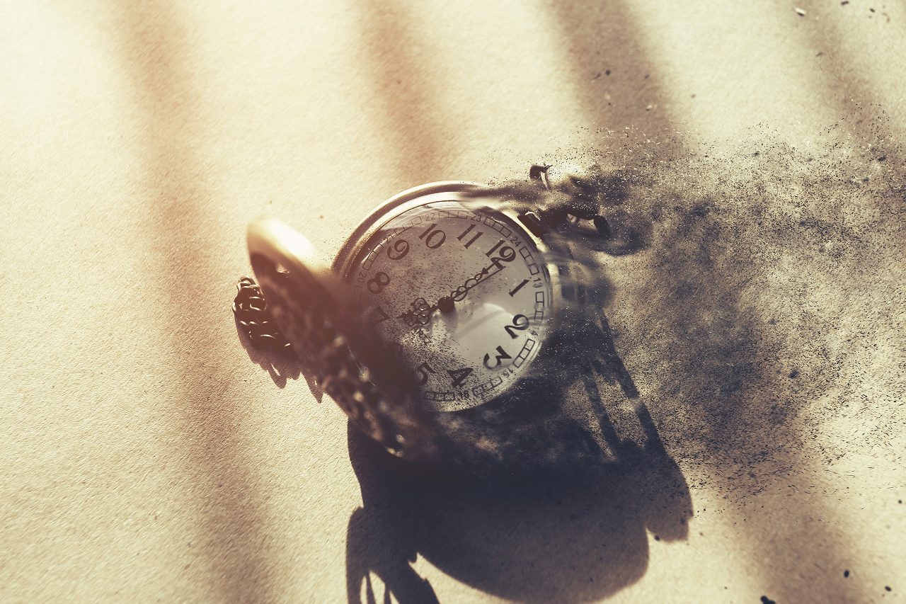 Analyzing Post-Mortem Changes of Metabolites by NMR | Bruker