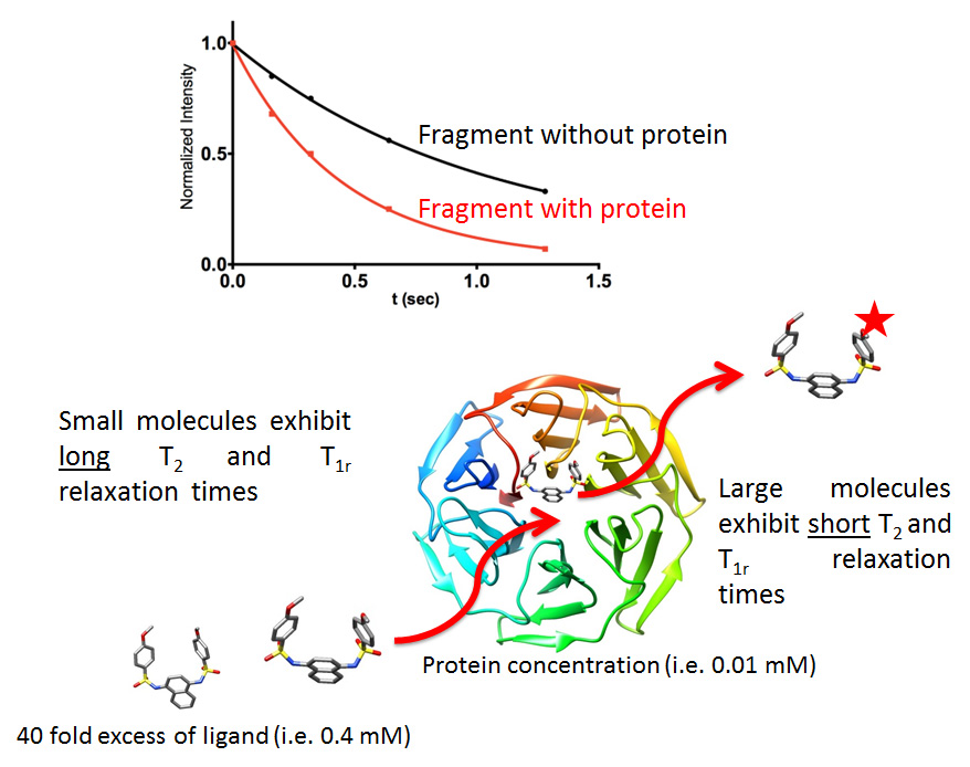 Fragment Screening By Ligand Observed Nmr Bruker