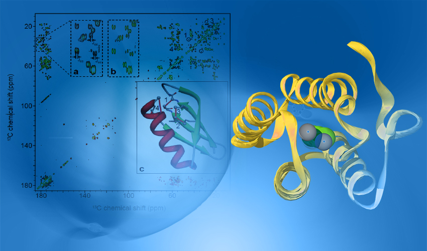 High-Field TROSY 15N NMR and Protein Structure | Bruker