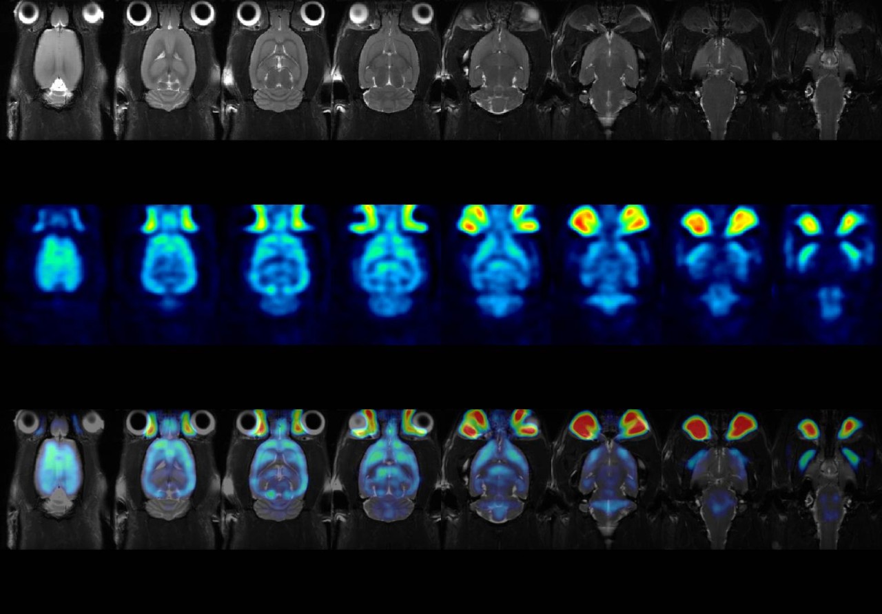 Michigan State University Molecular Imaging Lab | Bruker