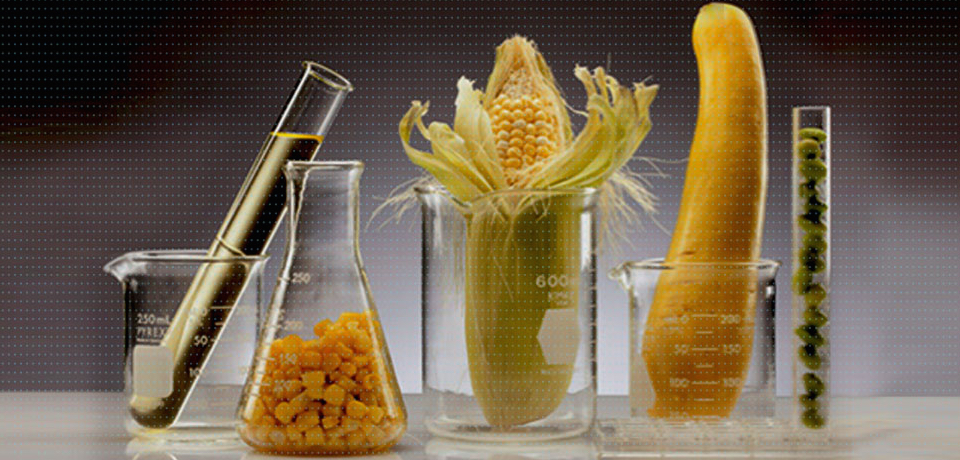 NMR for Foods and Beverages | Bruker