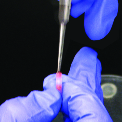 Introduction to Solids LT-MAS DNP | Bruker