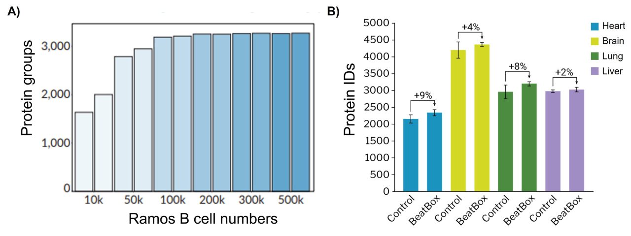 Targeted Protein Degraders | Bruker