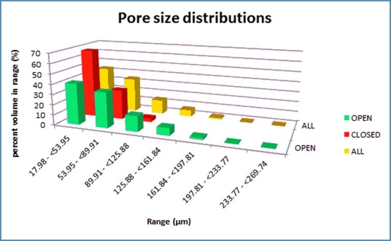Pore networks with Micro-CT | Bruker