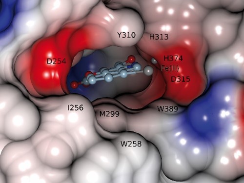 Lead Optimization | Bruker