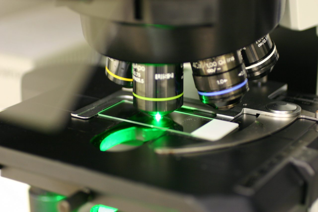 Innovations in Mycobacteria Detection: Redefining Diagnostics for ...