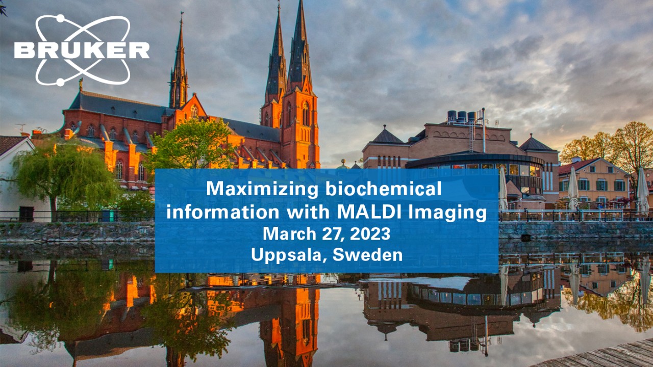Maximizing biochemical information with MALDI Imaging | Bruker