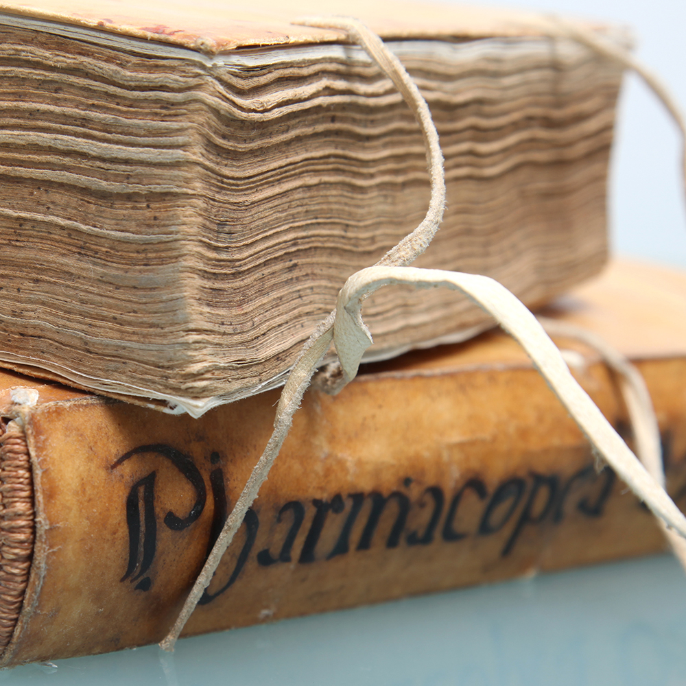 New USP Chapter | Bruker