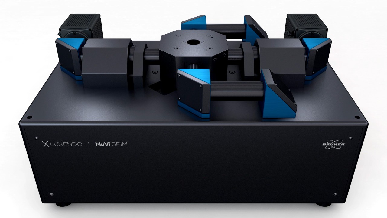 Bruker Light-Sheet Microscopes at Major Comprehensive Cancer Center ...