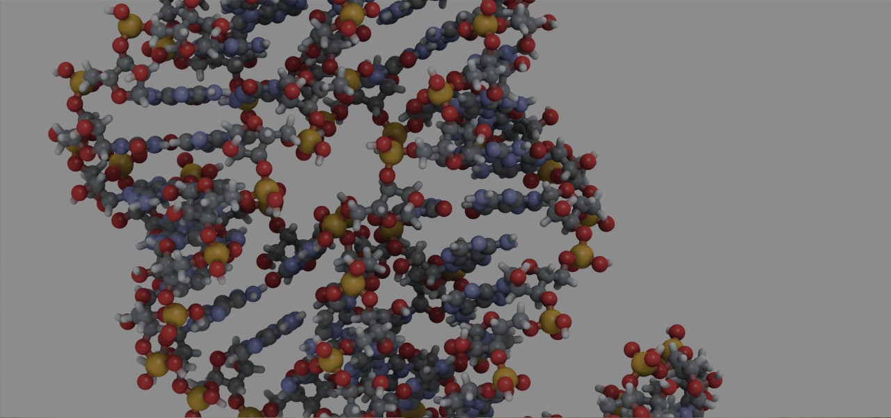Simplifying Oligonucleotide Drug Development Workflows with Mass Spectrometry | Bruker
