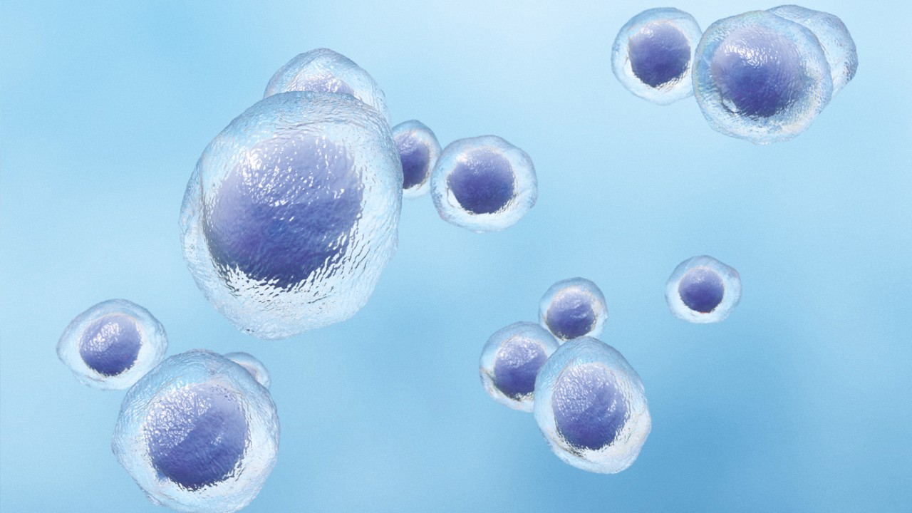 Advancing Top-Down Proteomics for Precision Medicine on the timsTOF Pro ...