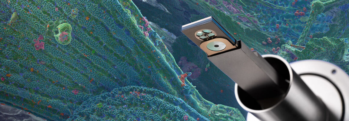 Fast, Accurate and Precise Quantification Results Using an Annular Silicon Drift Detector ...