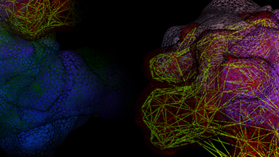 Bruker Vutara VXL: Quantitative Super-Resolution Platform With Bi-Plane ...