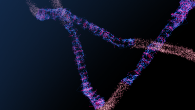 Control of Membrane Protein Motion by Submembrane Actin Ring | Bruker