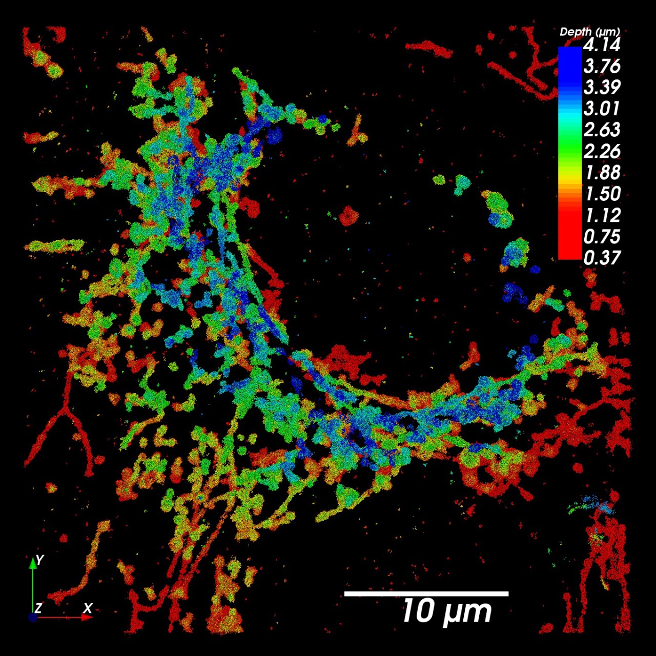 epifluorescence microscopy resolution