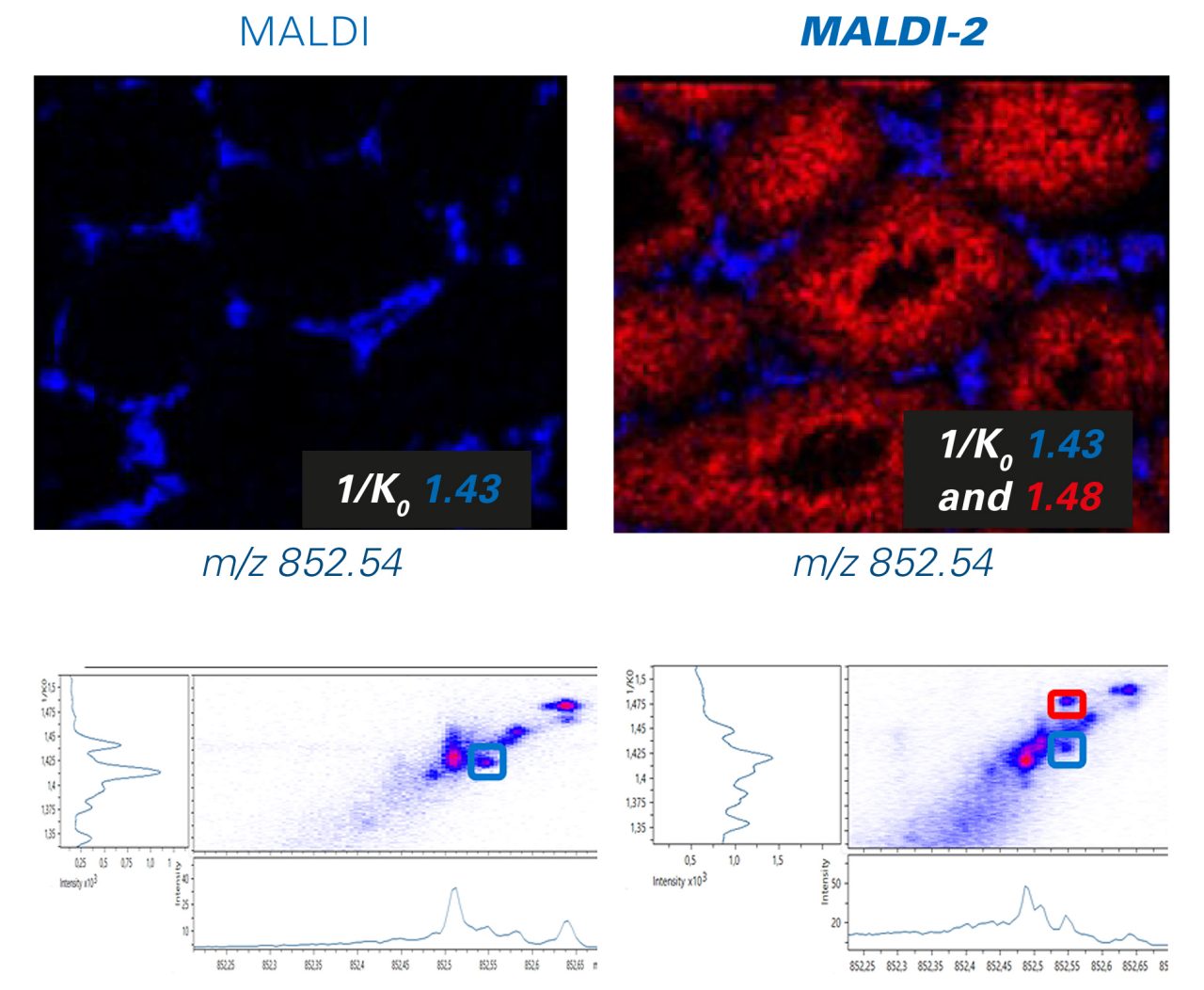 timsTOF fleX MALDI-2 | Bruker