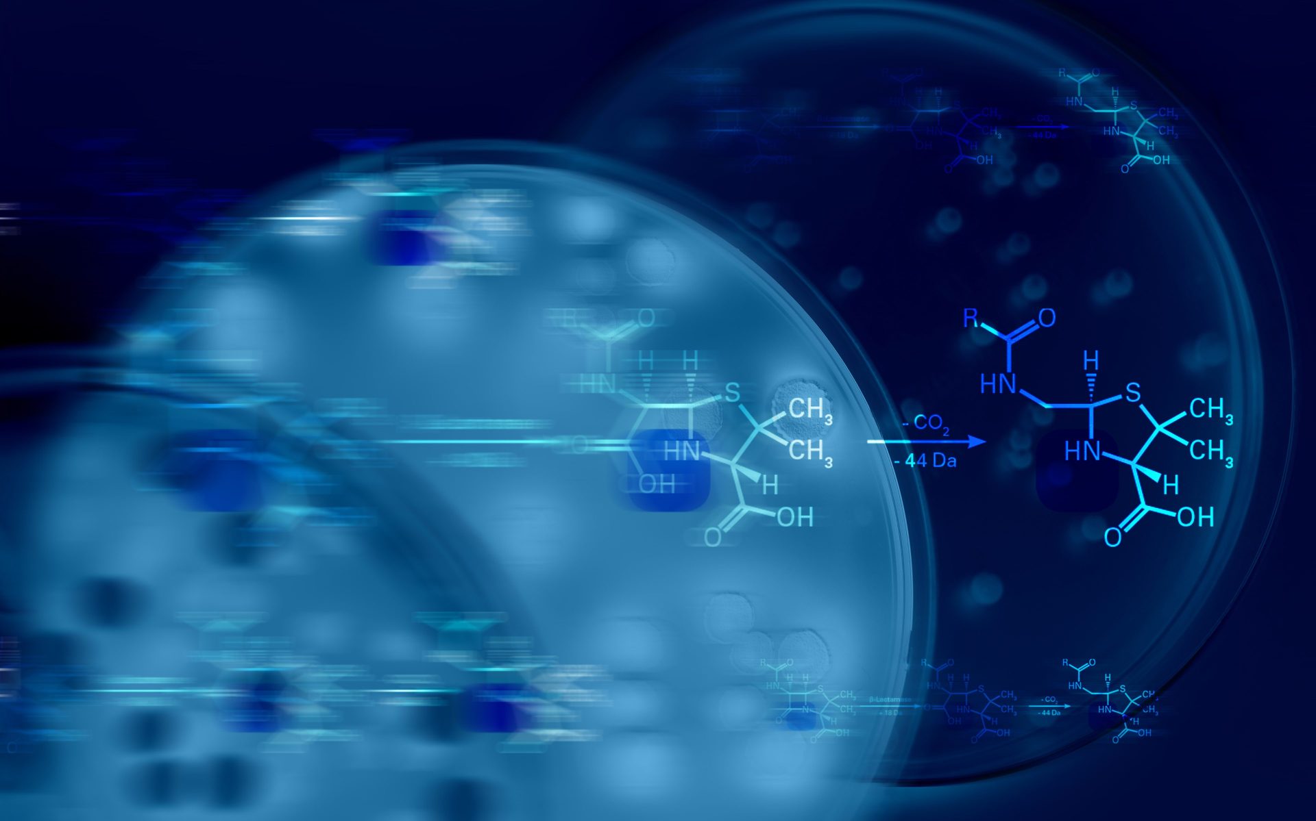 Beta Lactamase Activity Detection Bruker