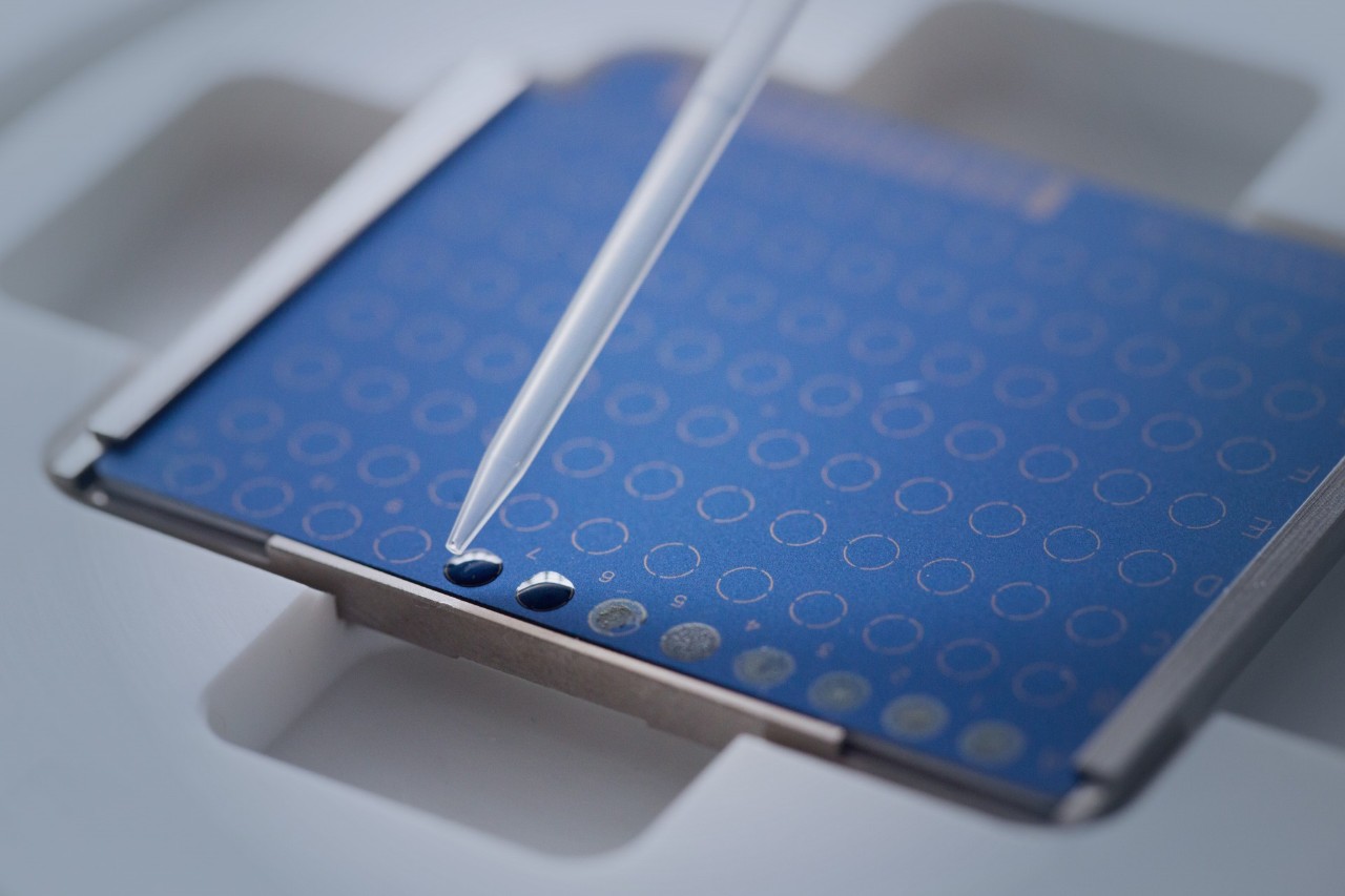 MALDI Biotyper® Consumables | Bruker