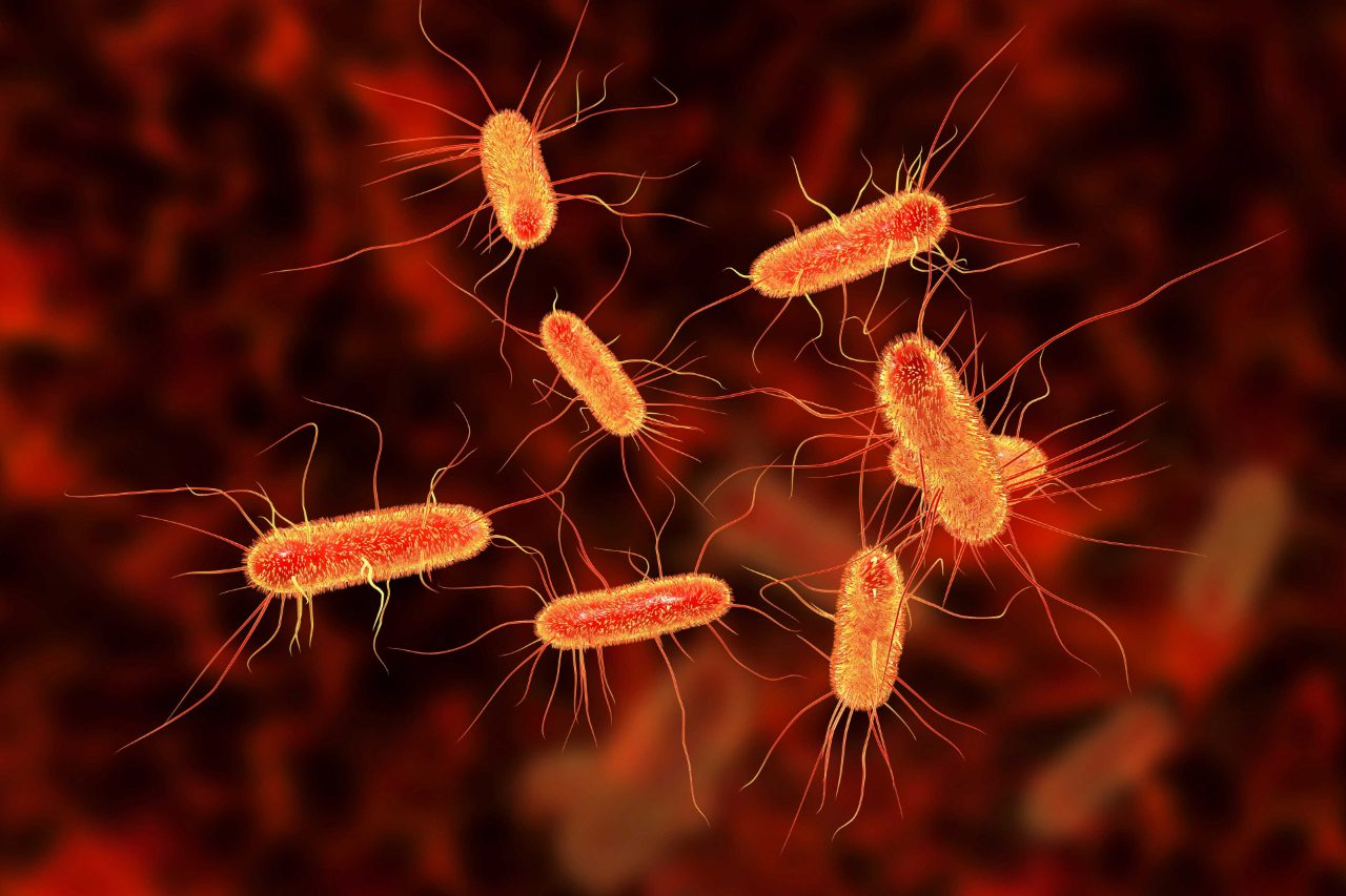 Lipid Analysis Enabling Resistance Detection | Bruker