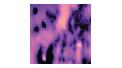 PeakForce Electric Force Microscopy | Bruker