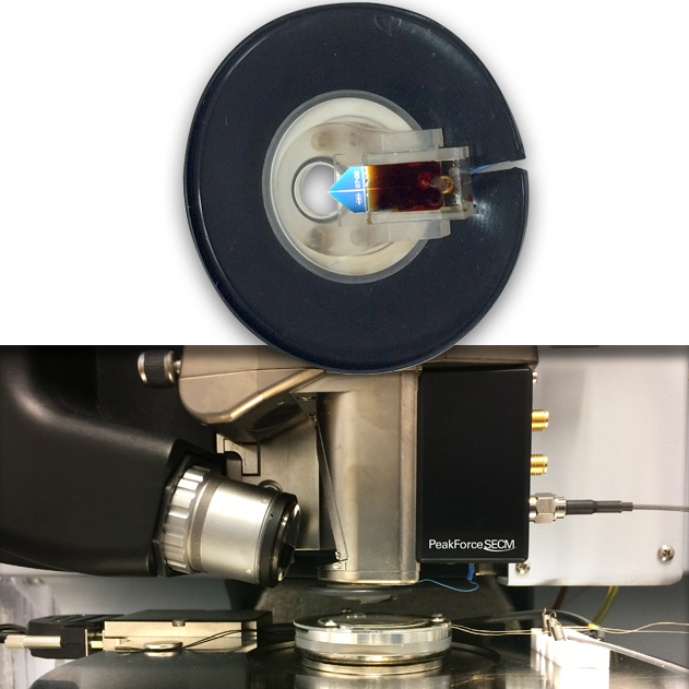 PeakForce SECM | Bruker