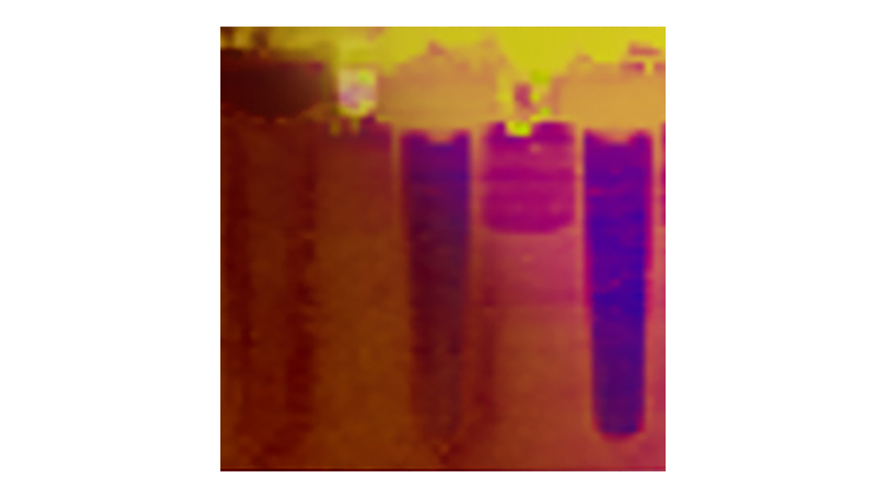 Scanning Microwave Impedance Microscopy (sMIM) | Bruker