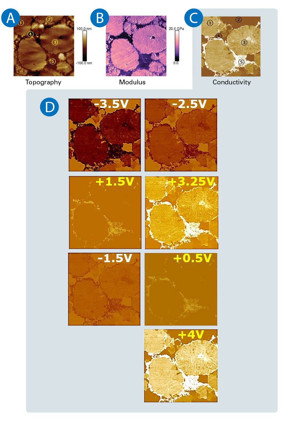 Application Brief: Correlating Li-Ion Cathode Conductivity with Battery ...