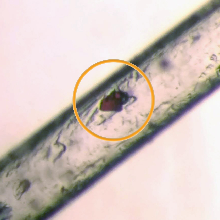 Solid State Chemistry | Bruker