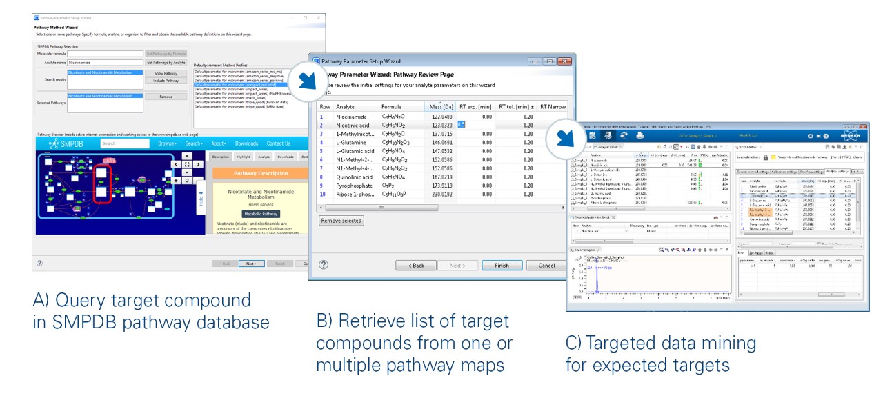 Targeted Metabolomics | Bruker