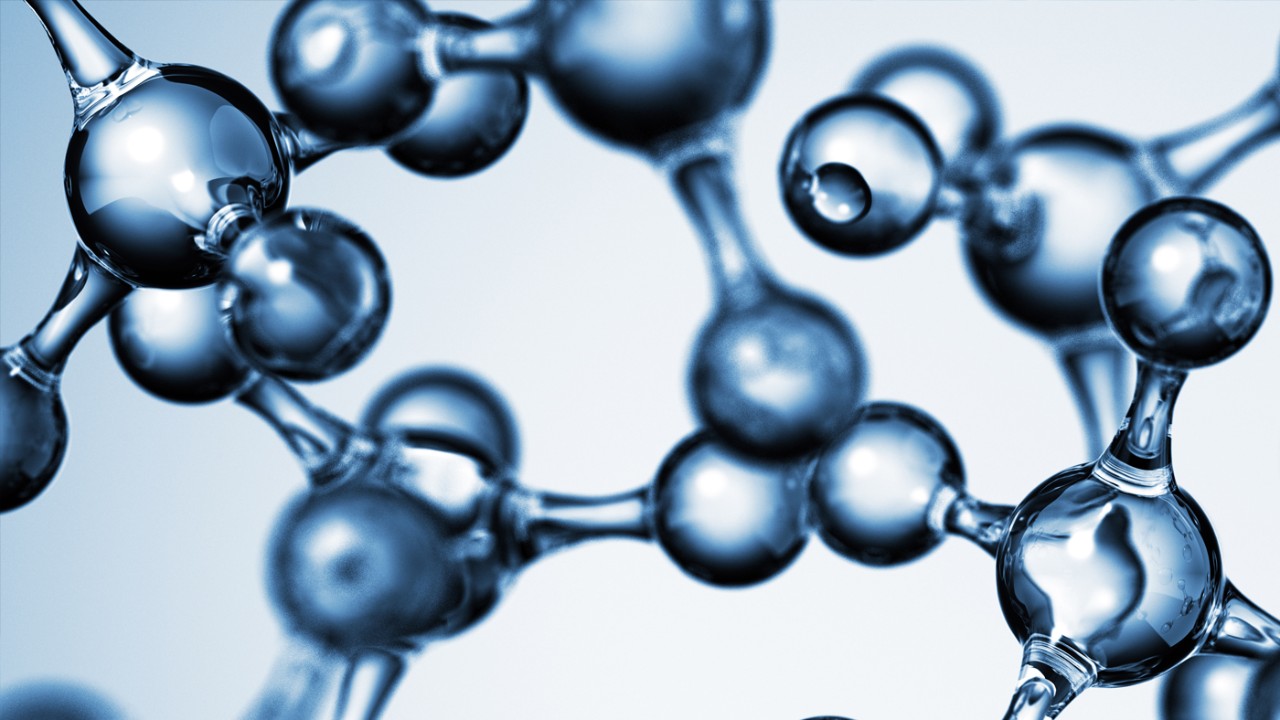 Targeted Metabolomics | Bruker