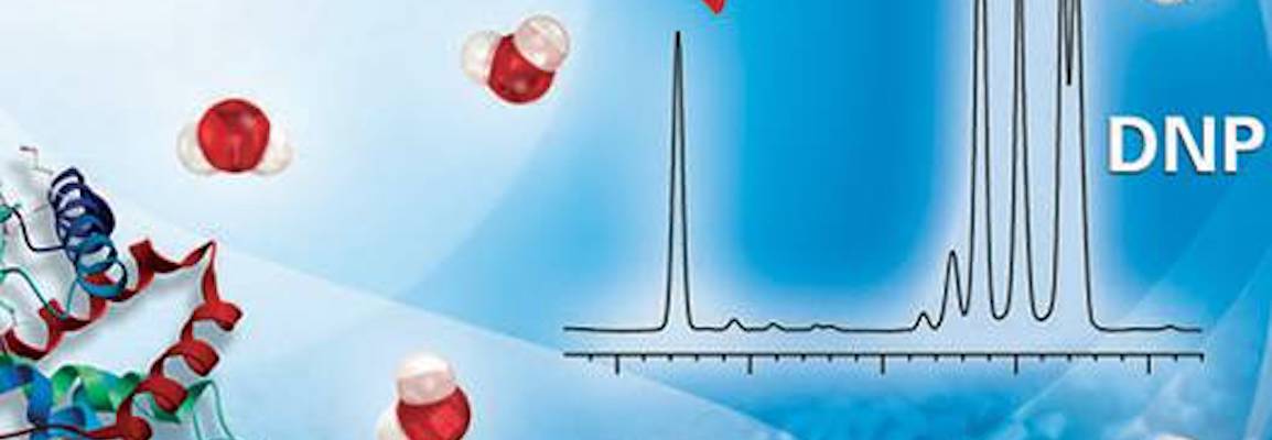 Solid State DNP-NMR | Bruker