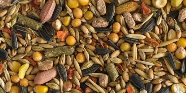 Feed & Grain: How FT-NIR Can Make You Money | Bruker