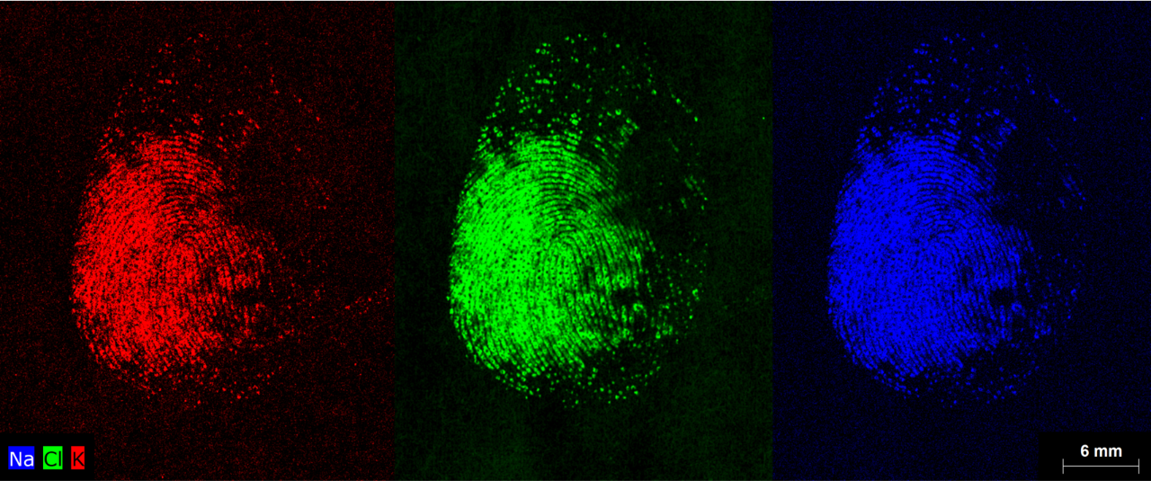The M4 TORNADO micro-XRF - a Flexible Tool in Forensic Science | Bruker