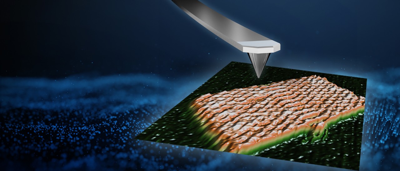 High-Speed AFM in Life Science Applications | Bruker