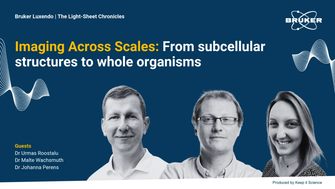 Episode 2: Imaging Across Scales: From Subcellular Structures to Whole ...
