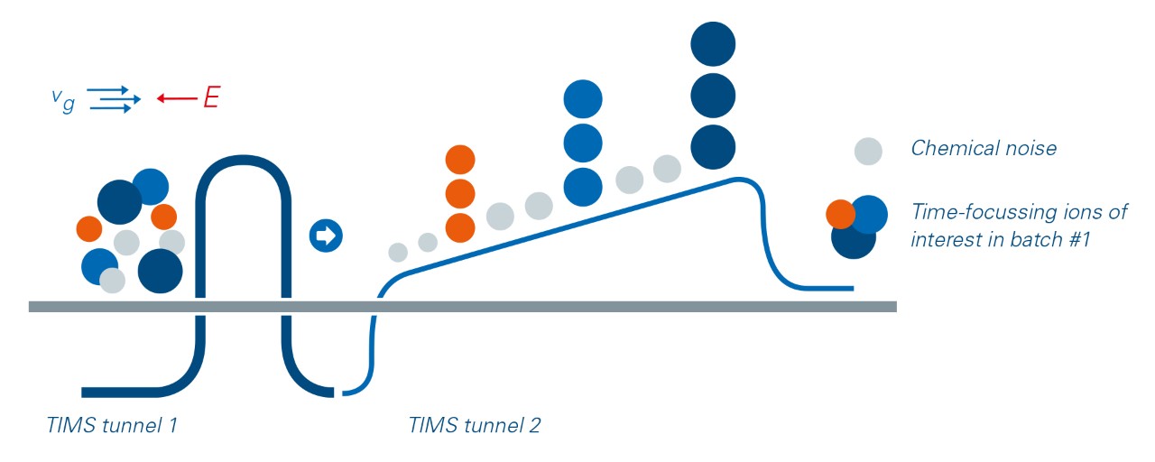 timsTOF Pro 2 | Bruker