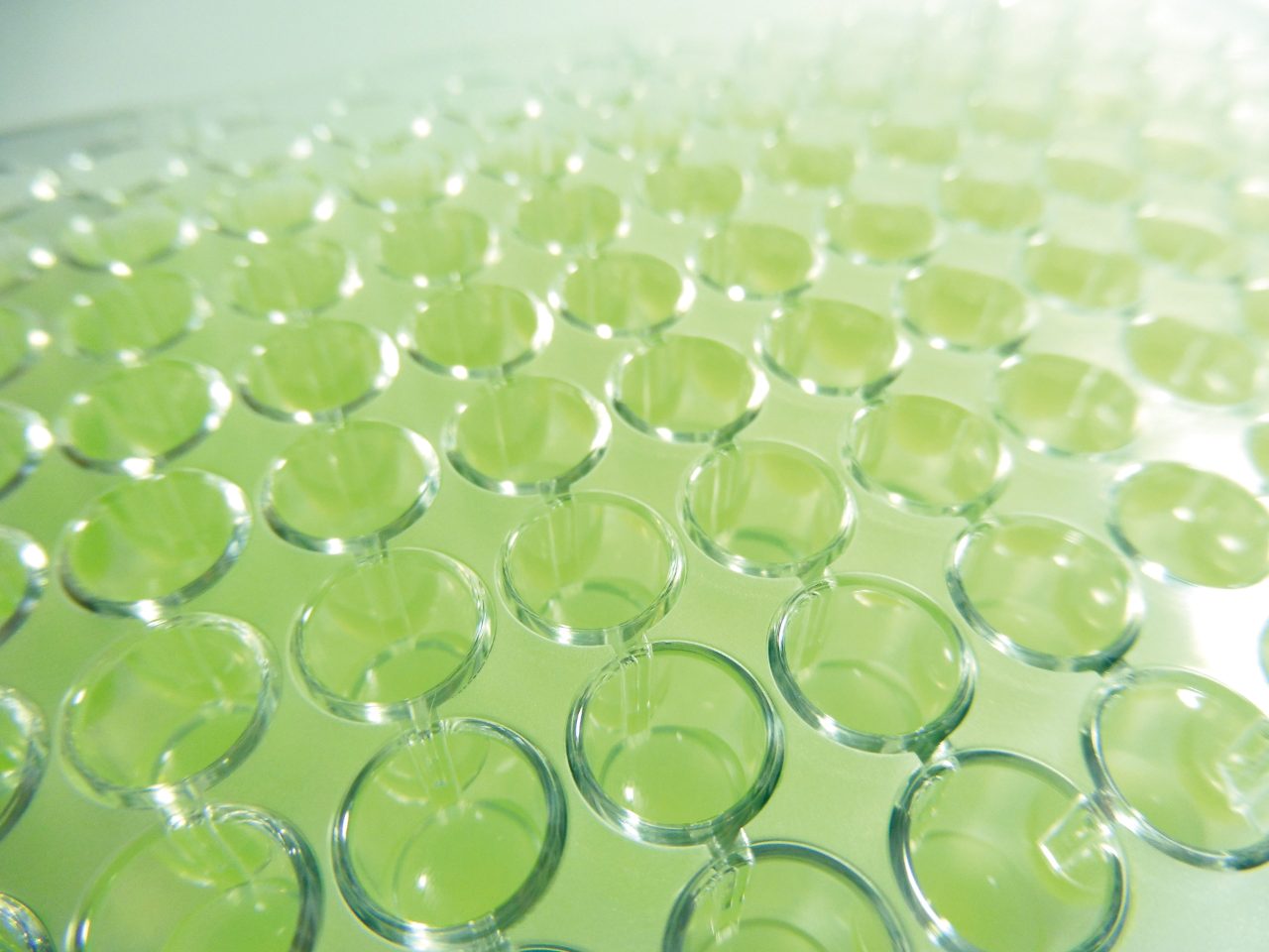 MICRONAUT-S Pseudomonas MIC | Bruker