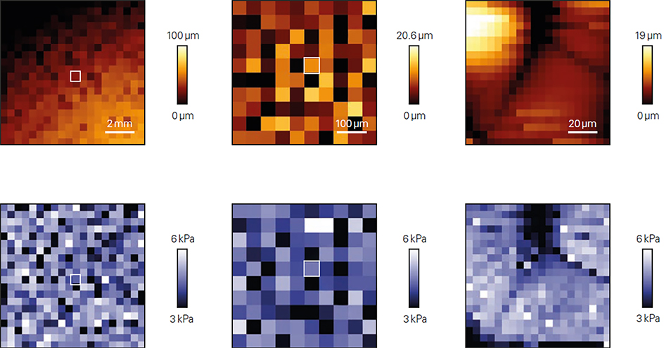 Tech Note: Next-Generation AFM Force Mapping of Challenging Samples ...